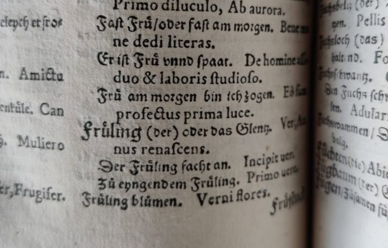 Die teütsch Spraach: The first ‘true’ German dictionary from 1561 ...