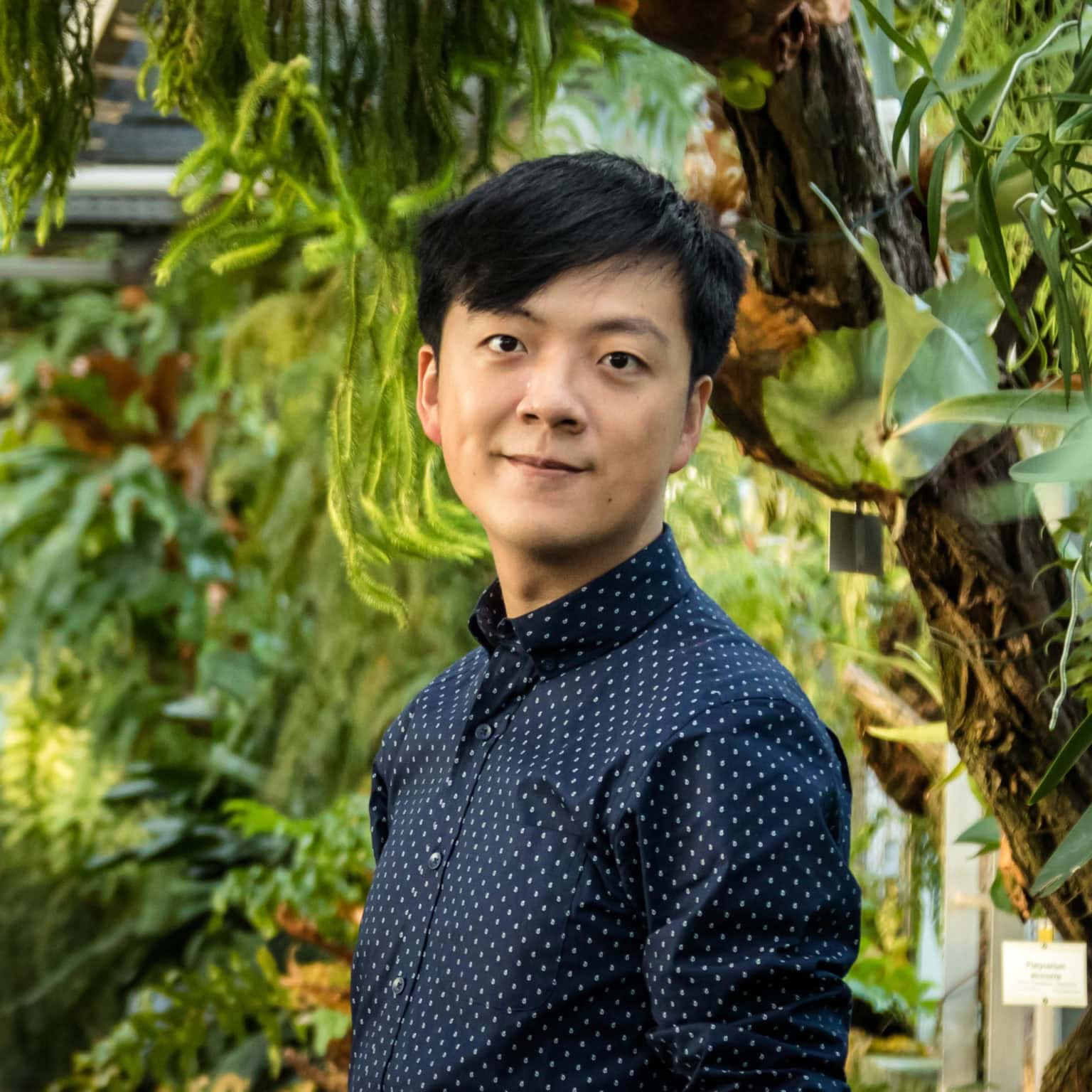 Chapel and Choir - Magdalen College