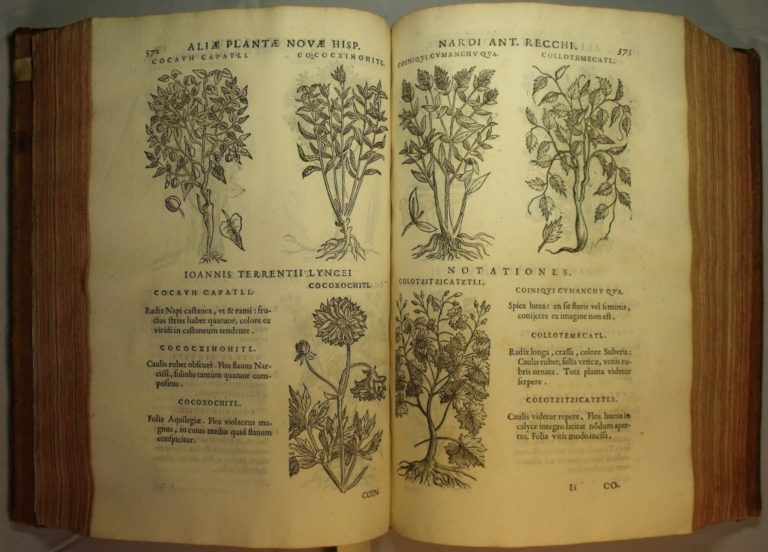 The John Goodyer Collection of Botanical Books - Magdalen College