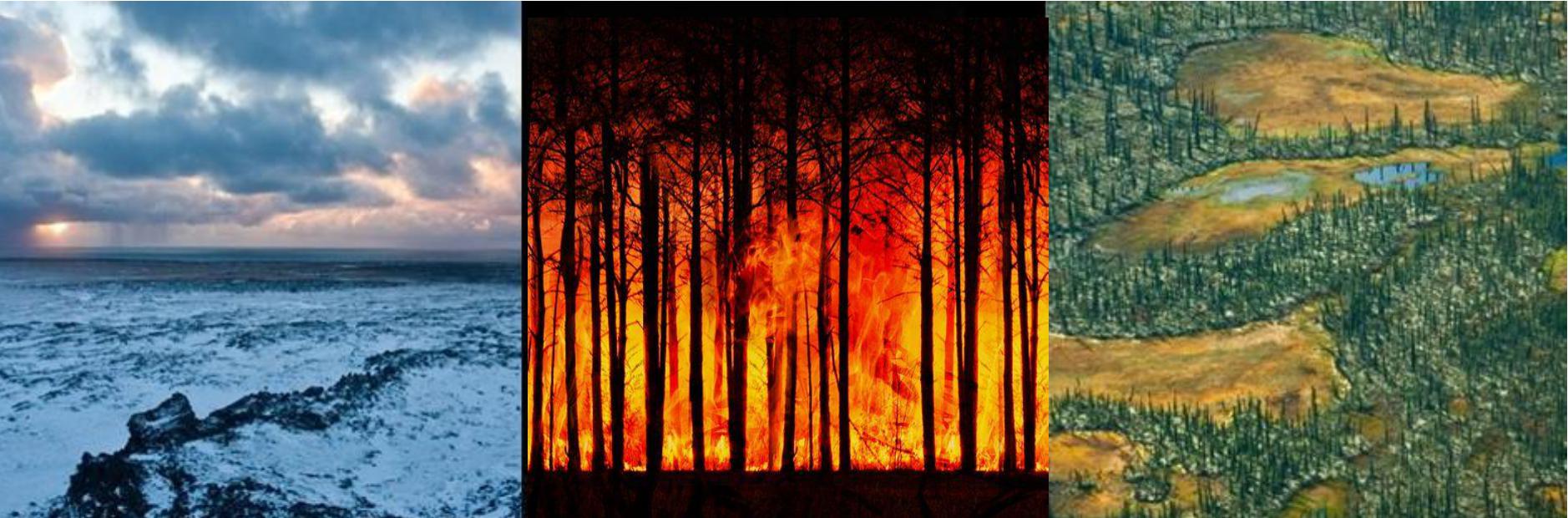 Calleva Seminar: 'Climate change: Effects and solutions' - Magdalen College