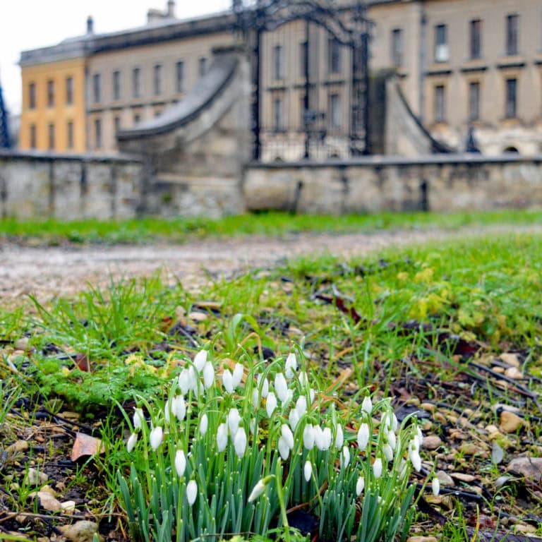 The Hon Mahlon 'Sandy' Apgar IV - Magdalen College