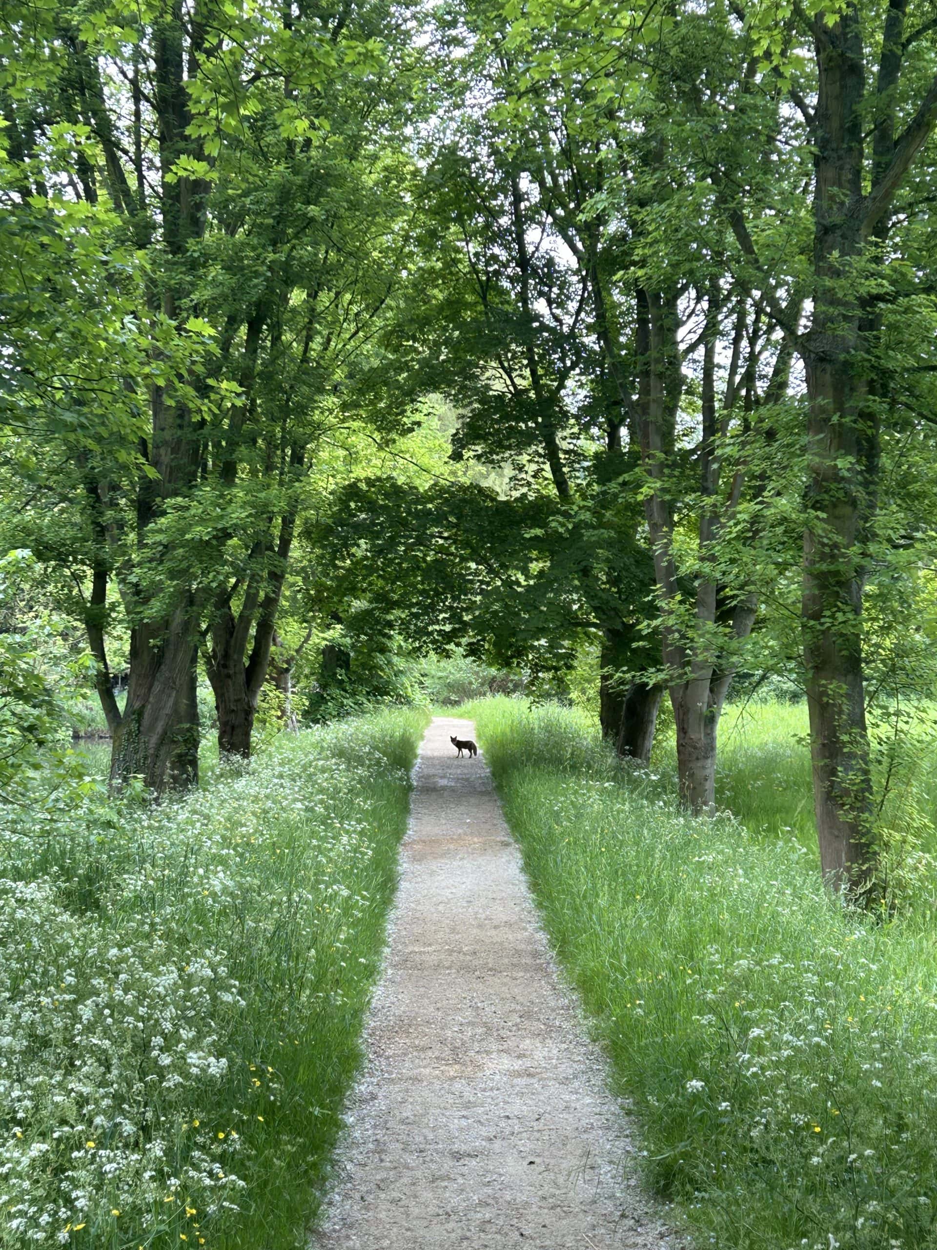 Photo competition winners - Magdalen College